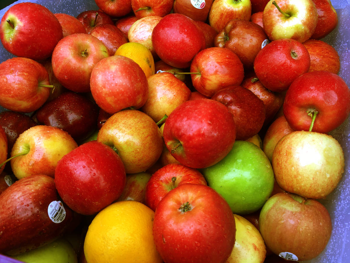 CHAZ Garden – Save $8.13 On Groceries By Ditching Capitalism | The Off ...