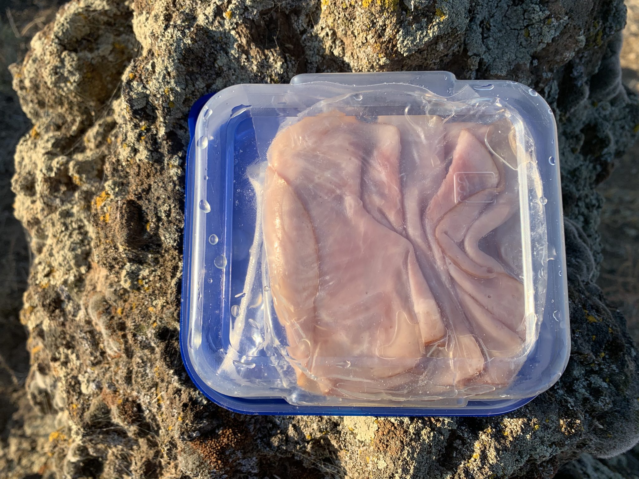 Great Value Lunch Meat – Taste Test | The Off Brand Guy