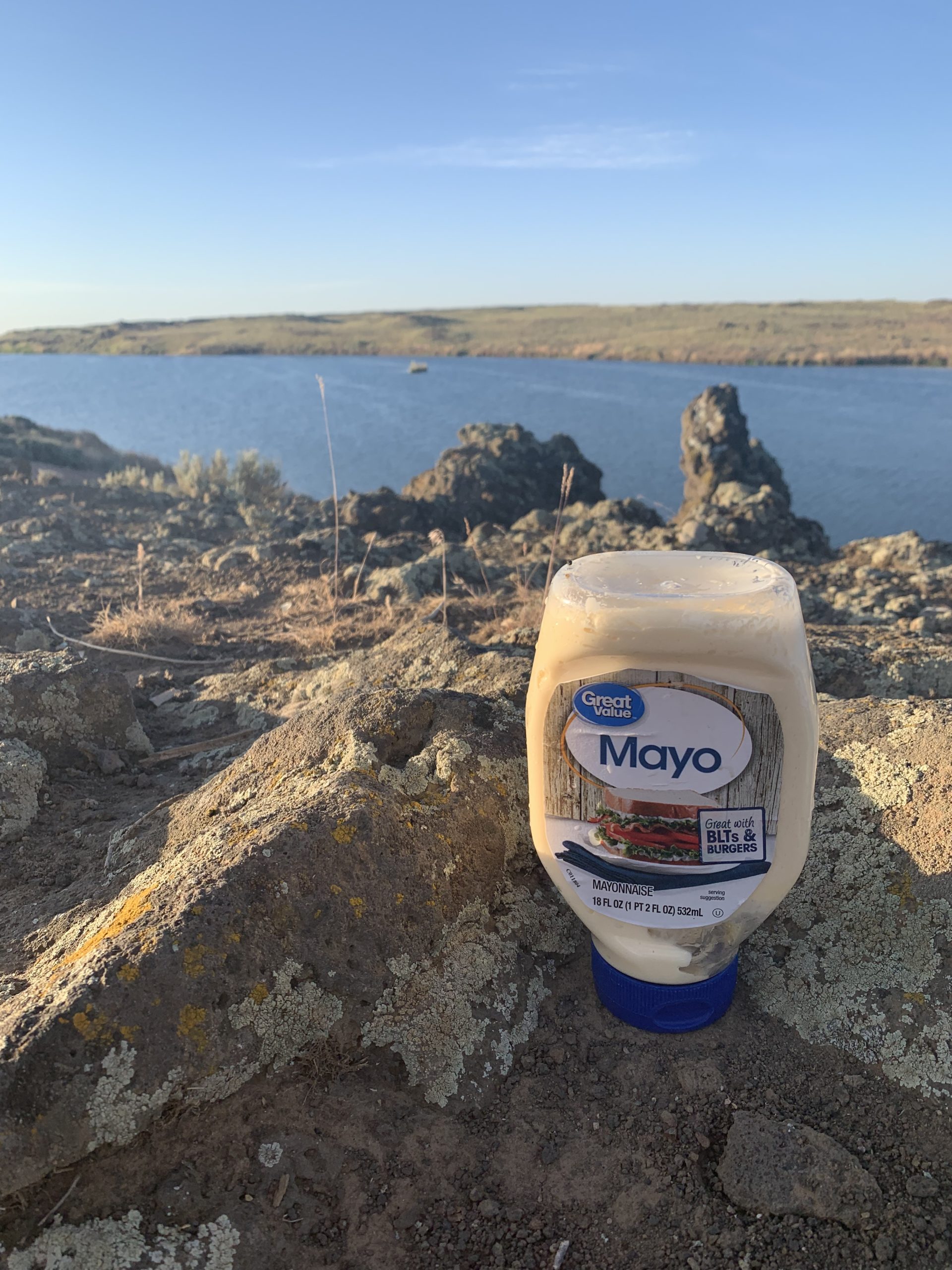 Great Value Mayonnaise For The Frugal | The Off Brand Guy